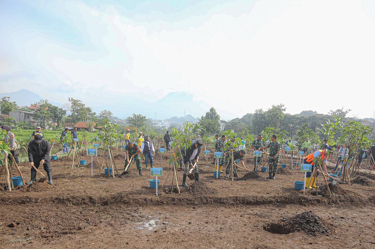 Pohon RTH Sumber Kehidupan - Bandung Pos
